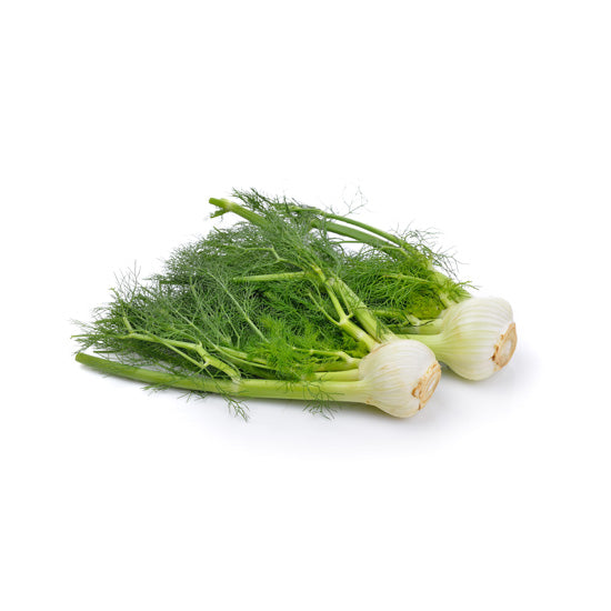 Fennel Certified Organic bunch – The Simple Market