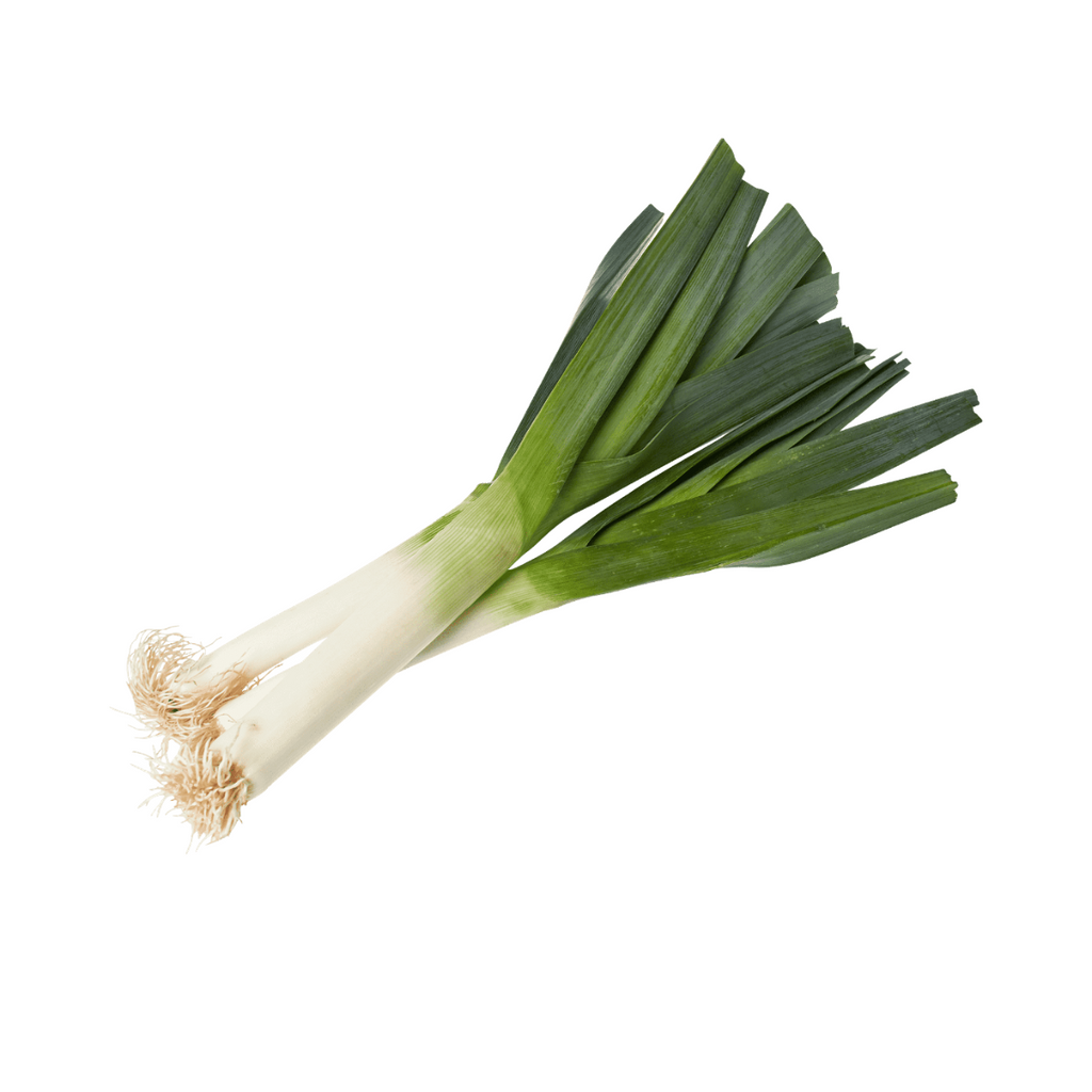 Leek Bunch Certified Organic each – The Simple Market